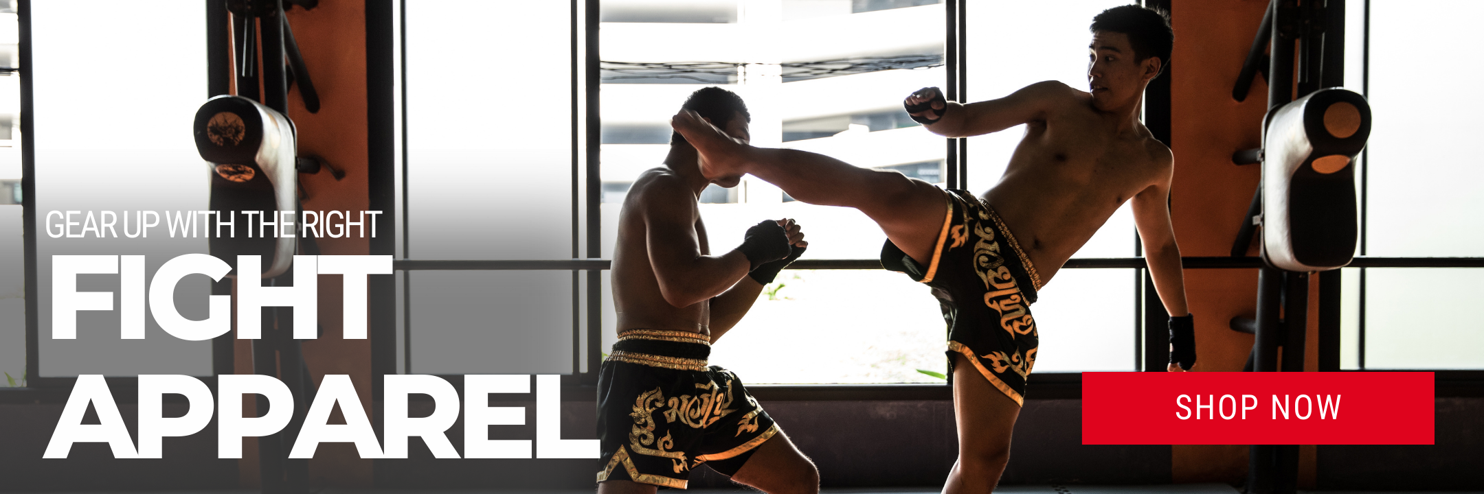 Fight Gear Direct | Muay Thai & MMA Equipment Store Online